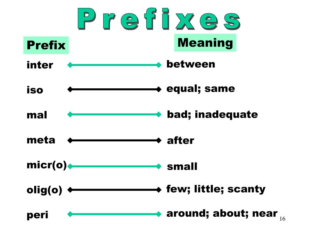 PPT Building Medical Terms PowerPoint Presentation Free Download