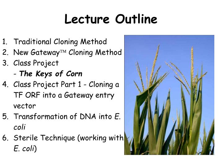 PPT - BIOLOGY 3020 Fall 2008 Recombinant DNA Technology (DNA Cloning ...