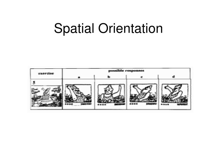 PPT - Is Mental Rotation the Foundational Spatial Skill? PowerPoint ...