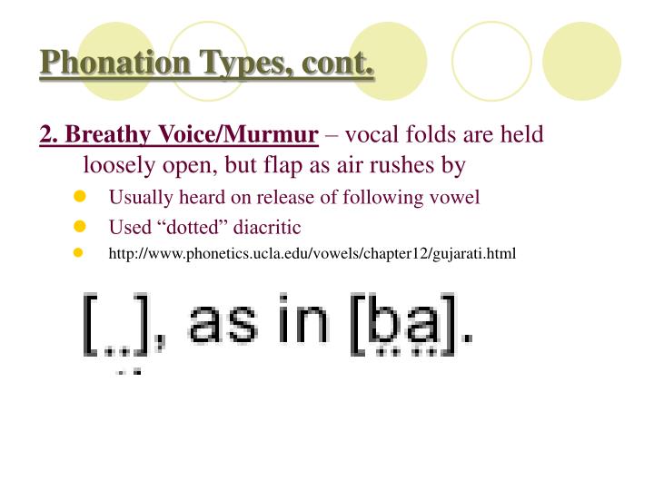 PPT - Voicing & Phonation PowerPoint Presentation - ID:1290692