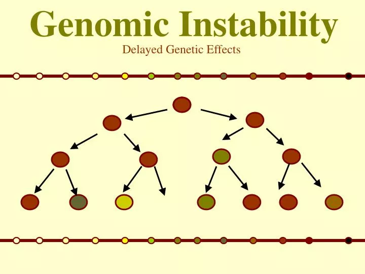 PPT - Genomic Instability PowerPoint Presentation, free download - ID ...