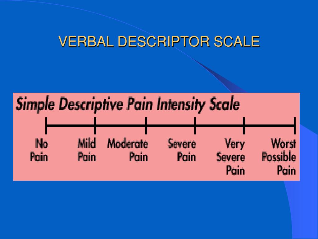 Verbal Descriptor Scale Learning Spatial Spectral Temporal EEG