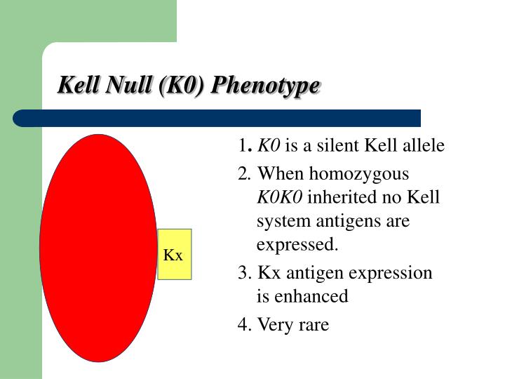 PPT - Other Blood Groups PowerPoint Presentation - ID:1292491
