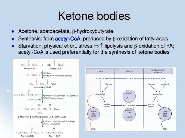 PPT - Abnormal composition of urine PowerPoint Presentation - ID:1292614