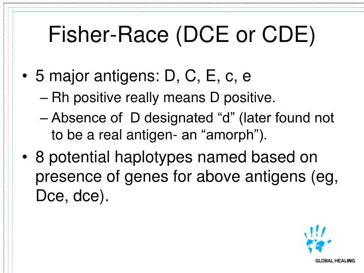 PPT - The Rh Blood Group PowerPoint Presentation - ID:1292797