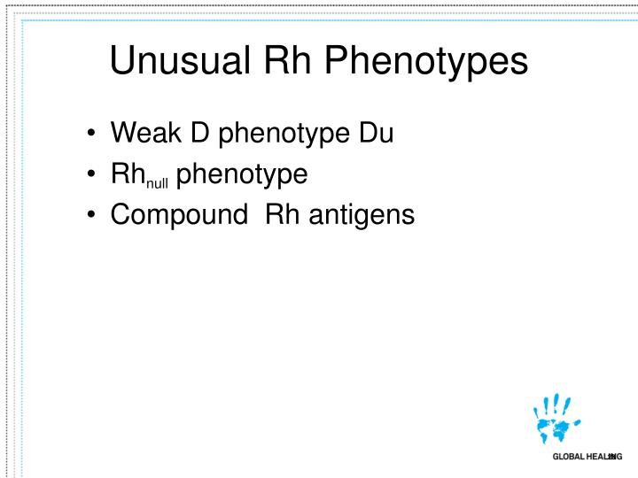 PPT - The Rh Blood Group PowerPoint Presentation - ID:1292797