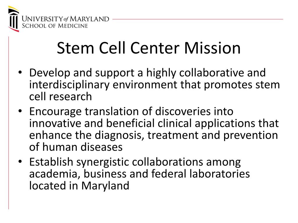 PPT - Center for Stem Cell Biology & Regenerative Medicine PowerPoint ...