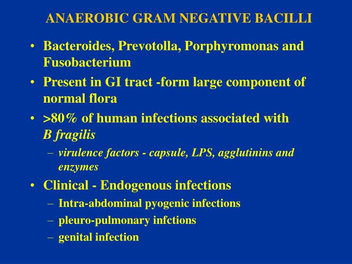 PPT - ANAEROBES PowerPoint Presentation - ID:1294147
