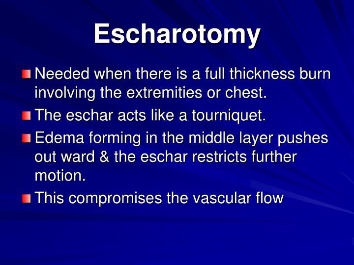 PPT - Burns & Escharotomy PowerPoint Presentation - ID:1294200