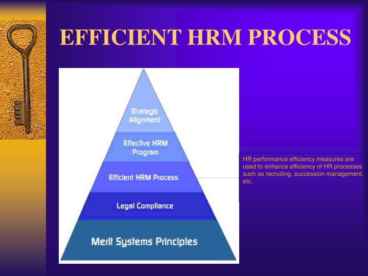 PPT - MERIT SYSTEM PRINCIPLES PowerPoint Presentation - ID:1294551