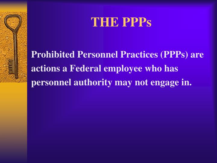 PPT - MERIT SYSTEM PRINCIPLES PowerPoint Presentation - ID:1294551