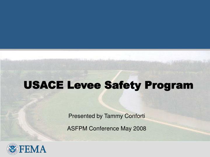PPT - USACE Levee Safety Program PowerPoint Presentation, free download ...