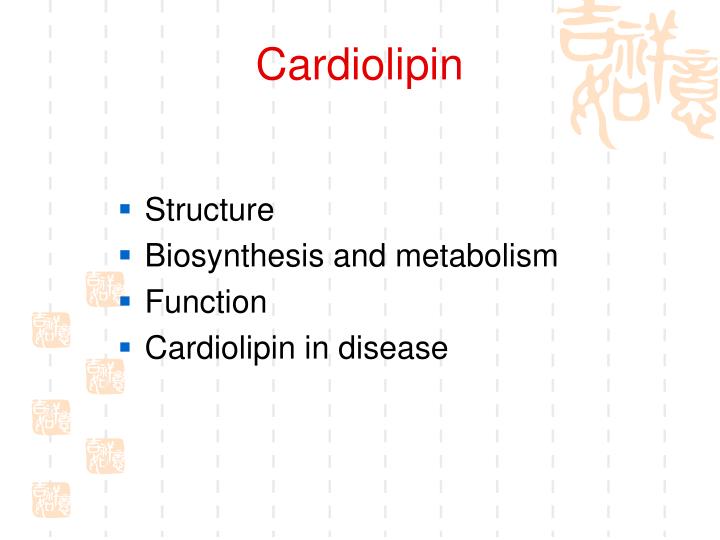 PPT - Cardiolipin PowerPoint Presentation - ID:1294898