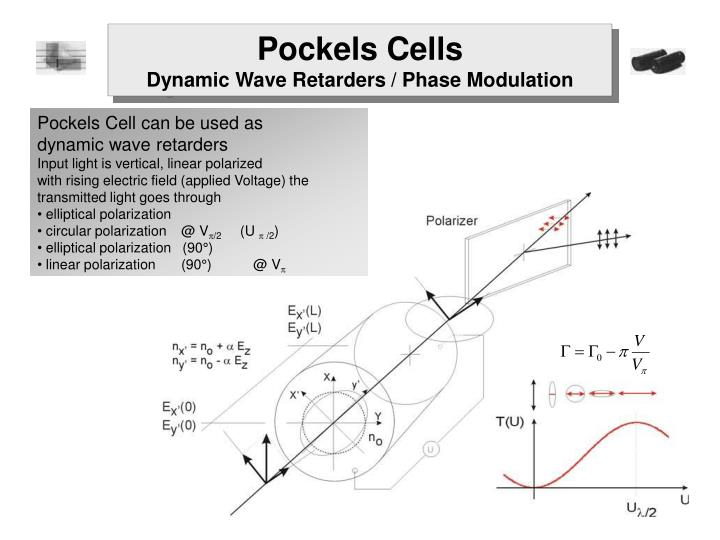 PPT - Birefringence PowerPoint Presentation - ID:1295117