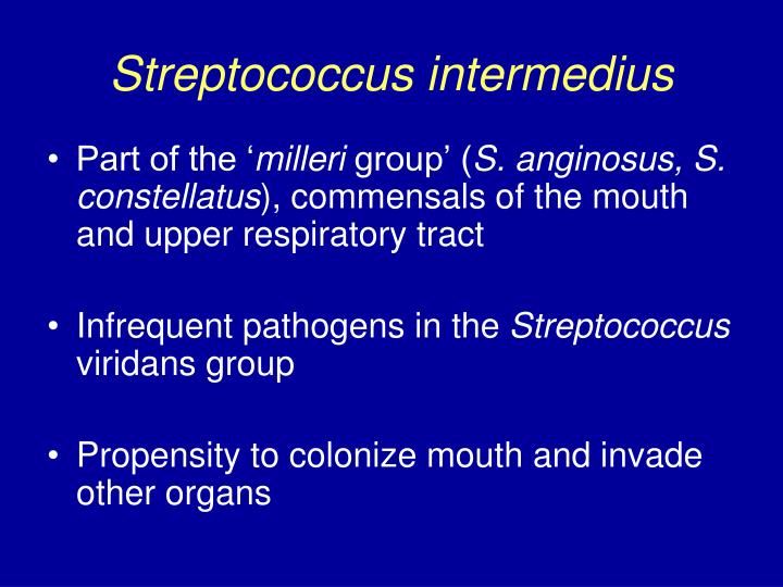 PPT - STREPTOCOCCUS INTERMEDIUS VERTEBRAL OSTEOMYELITIS AND ...