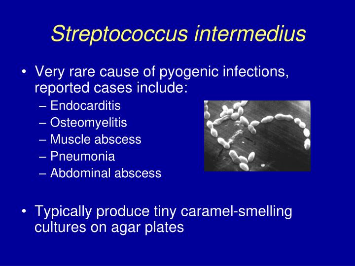 PPT - STREPTOCOCCUS INTERMEDIUS VERTEBRAL OSTEOMYELITIS AND ...