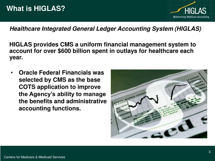 PPT - HEALTHCARE INTEGRATED GENERAL LEDGER ACCOUNTING SYSTEM (HIGLAS ...