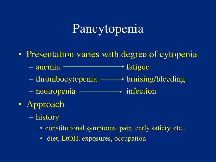 PPT - Aplastic Anemia PowerPoint Presentation - ID:1296182