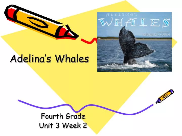 PPT - Fourth Grade Unit 3 Week 2 PowerPoint Presentation, free download ...