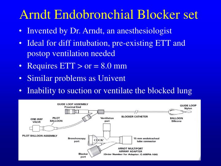 PPT - One-Lung Ventilation: physiology and practical approach ...