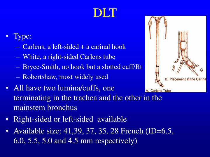 PPT - One-Lung Ventilation: physiology and practical approach ...