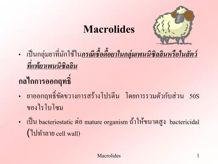 PPT - Macrolides PowerPoint Presentation, free download - ID:1300657