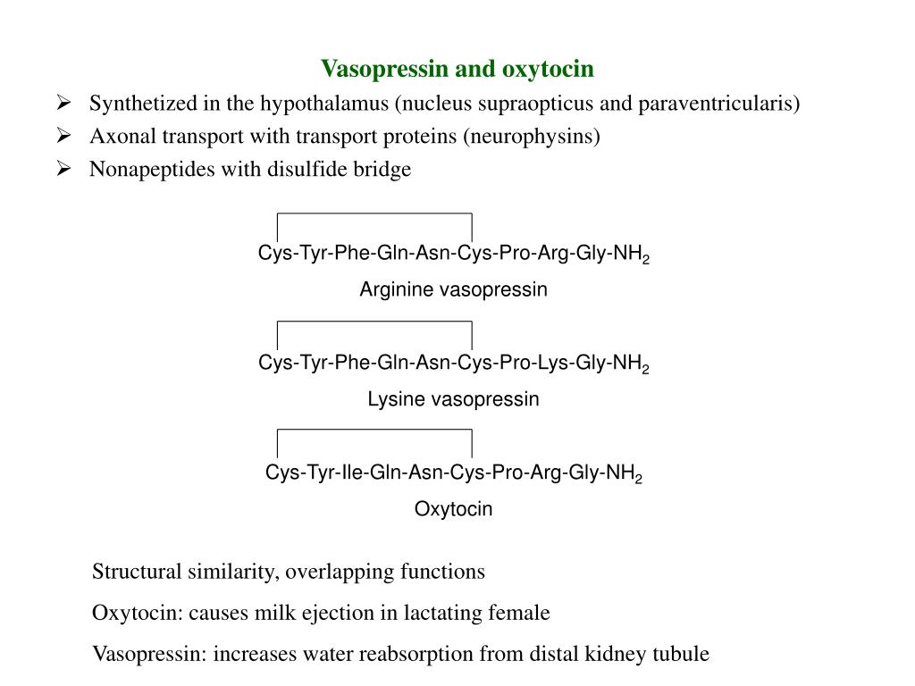 PPT - Biochemistry of hormones derived from amino acids and proteins ...
