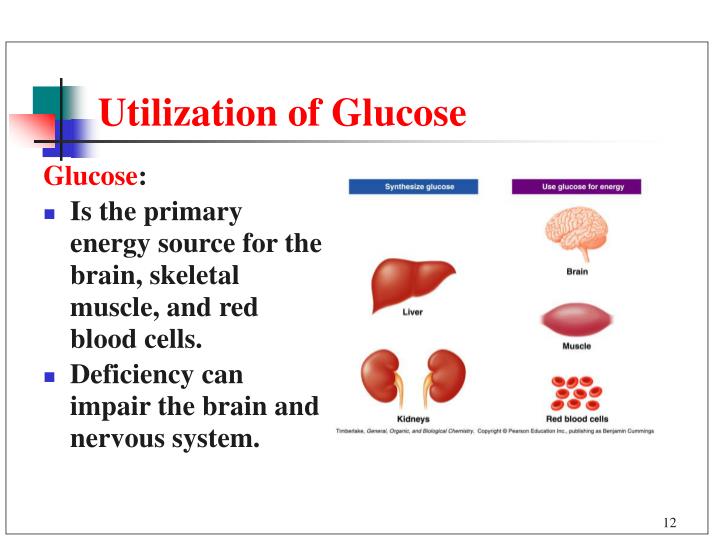 PPT - Chapter 23 Metabolic Pathways for Carbohydrates PowerPoint ...