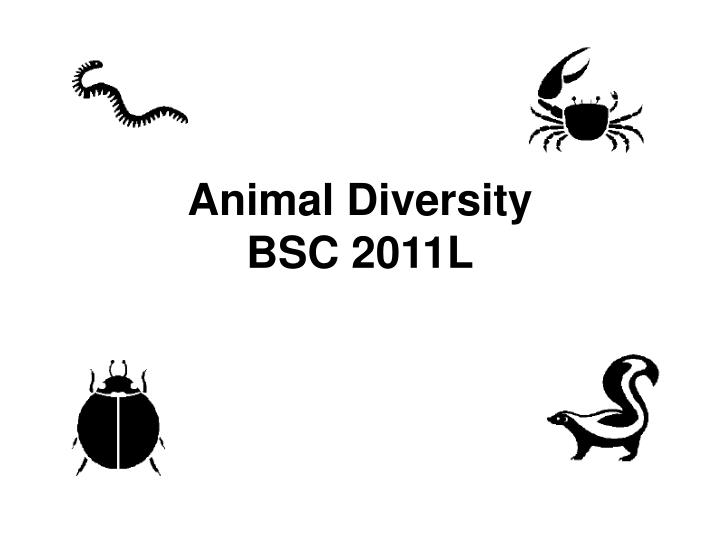 PPT - Animal Diversity BSC 2011L PowerPoint Presentation, free download ...
