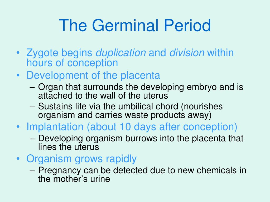 PPT - Invitation to the Life Span by Kathleen Stassen Berger PowerPoint ...