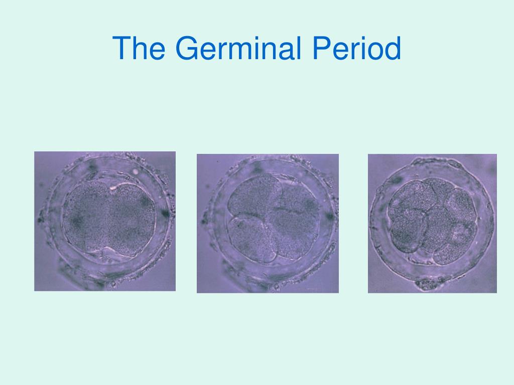 PPT - Invitation to the Life Span by Kathleen Stassen Berger PowerPoint ...