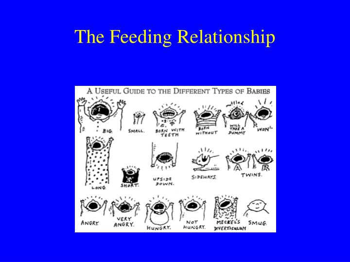 PPT - The Feeding Relationship PowerPoint Presentation, free download ...
