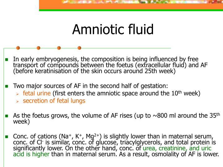 PPT - COMPOSITION OF THE BODY FLUIDS PowerPoint Presentation - ID:1303914