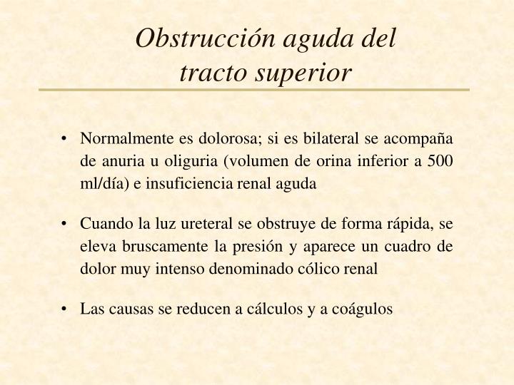 PPT - Patología general de las vías urinarias y litiasis renal ...
