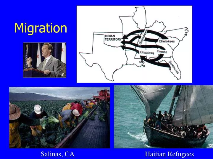 PPT - Migration PowerPoint Presentation, free download - ID:1304696
