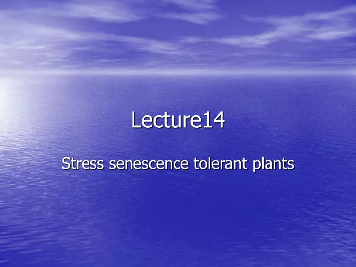 PPT - Lecture14 PowerPoint Presentation, free download - ID:1306103