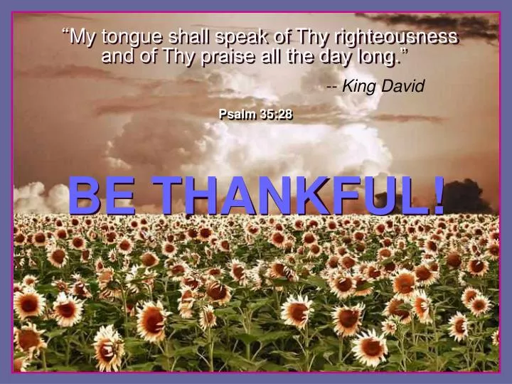 PPT - BE THANKFUL! PowerPoint Presentation, free download - ID:1306133