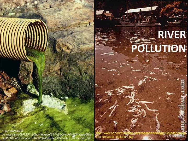 PPT - RIVER POLLUTION PowerPoint Presentation, free download - ID:1306635