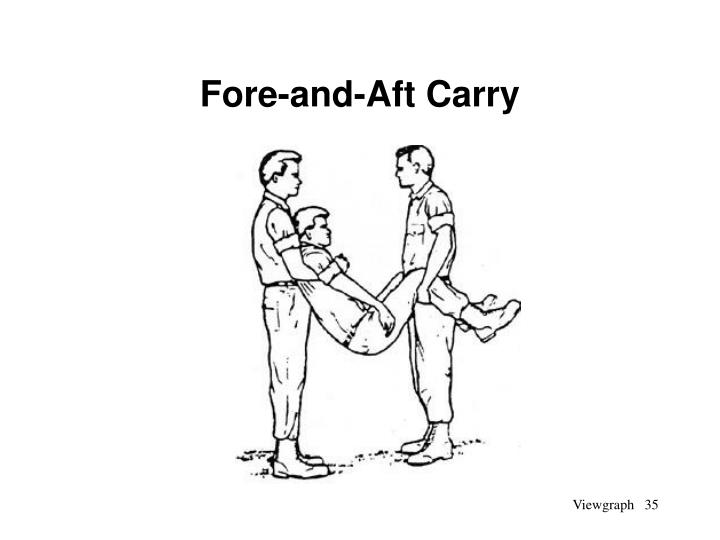 PPT - Support Carry PowerPoint Presentation - ID:1306652