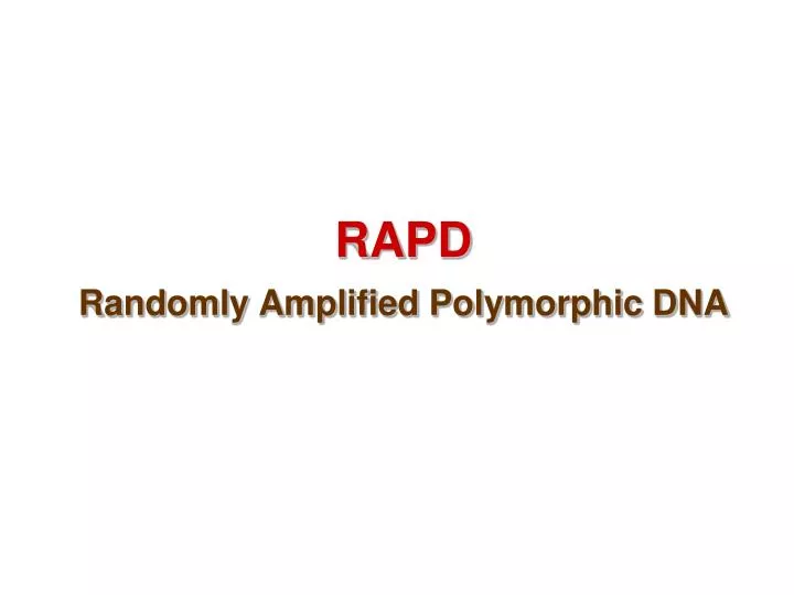 PPT - RAPD Randomly Amplified Polymorphic DNA PowerPoint Presentation ...