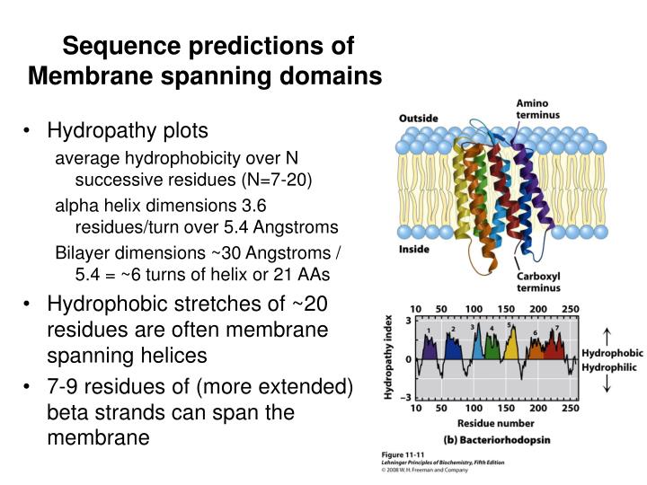 PPT - Membranes and Transport - Lehninger Chapter 11 PowerPoint ...
