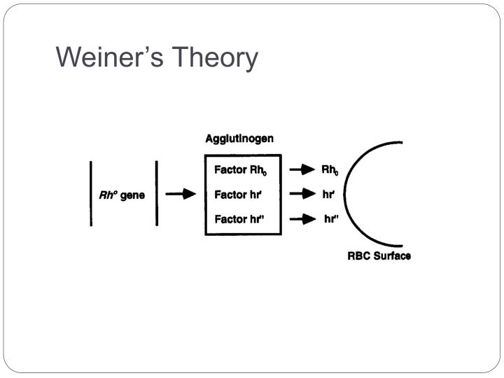 PPT - Unit 7 Rh BLOOD GROUP SYSTEM PowerPoint Presentation - ID:1308214