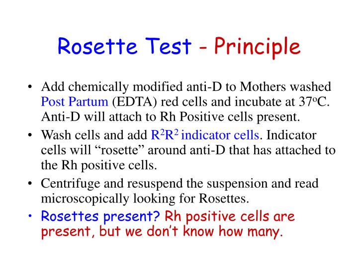 PPT - CLS 3311 Advanced Clinical Immunohematology PowerPoint ...