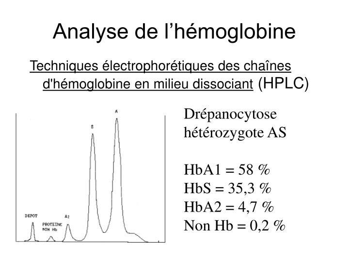 PPT - HEMOGLOBINE PowerPoint Presentation - ID:1308403