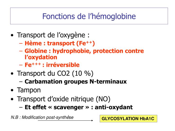 PPT - HEMOGLOBINE PowerPoint Presentation - ID:1308403
