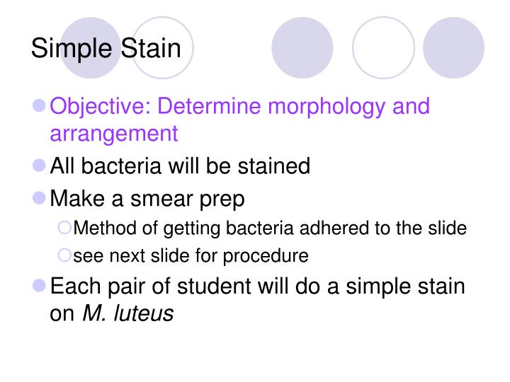 PPT - Staining PowerPoint Presentation - ID:1310036