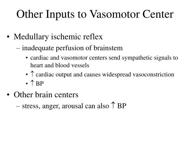 PPT - Chapter 20: Blood Vessels and Circulation PowerPoint Presentation ...