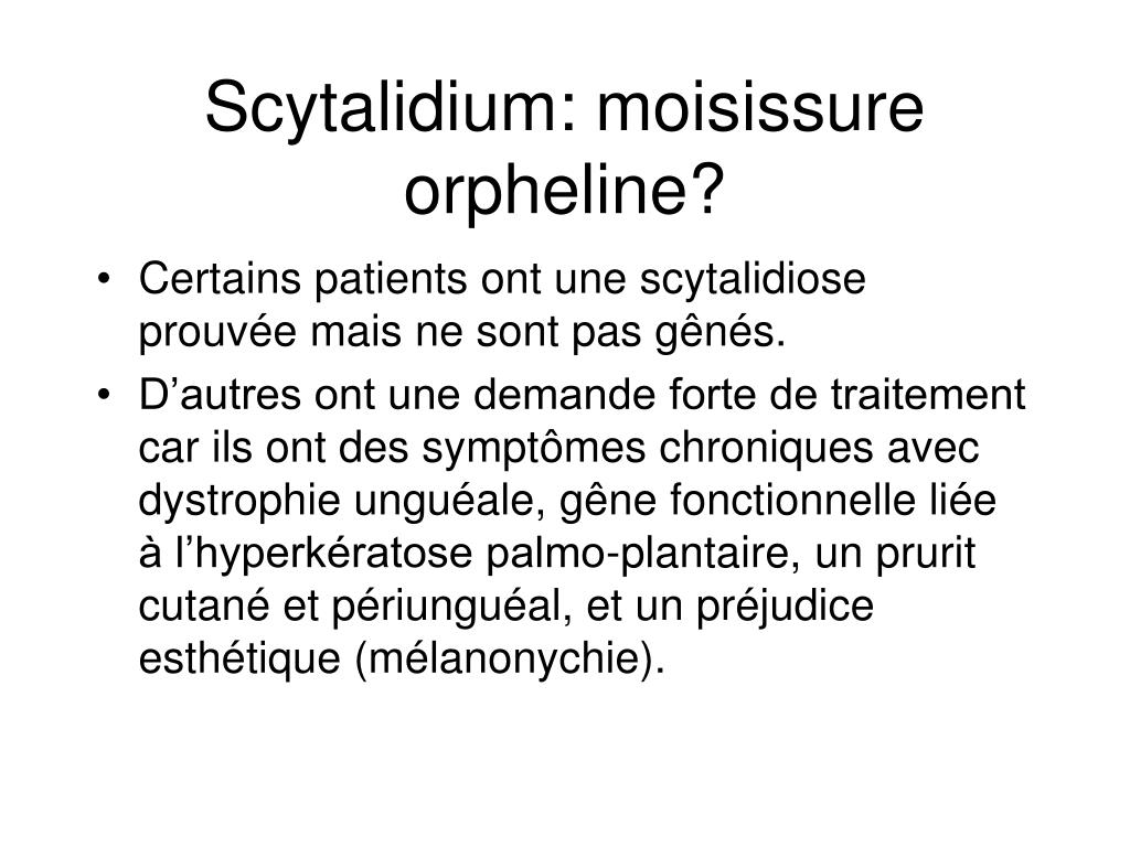 PPT - Scytalidium moisissure orpheline PowerPoint Presentation, free ...