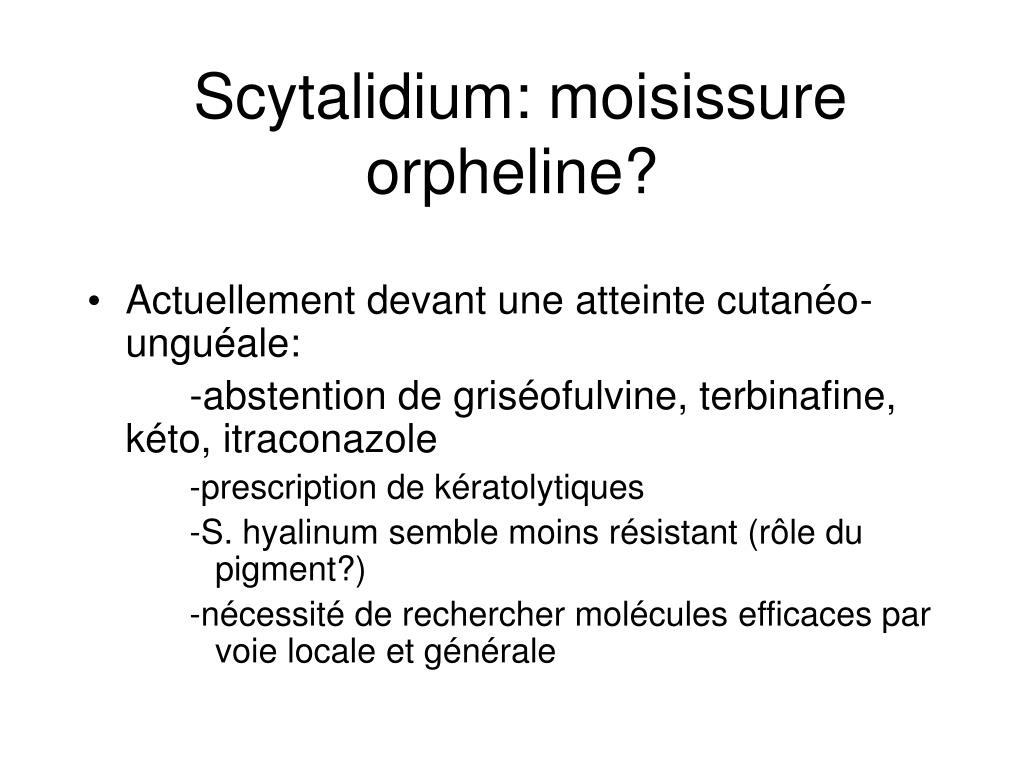 PPT - Scytalidium moisissure orpheline PowerPoint Presentation, free ...