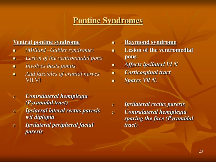 PPT - Localization of Brain Stem Lesions PowerPoint Presentation - ID ...